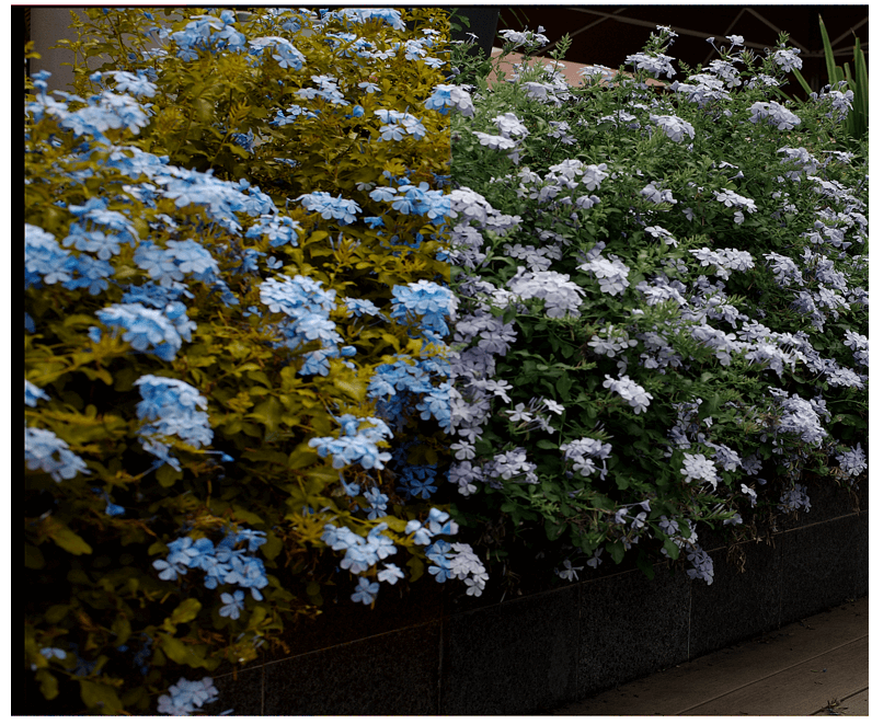 From Pixels to Perfection: A glimpse at Infinite-ISP Tuning Tool - 10xEngineers